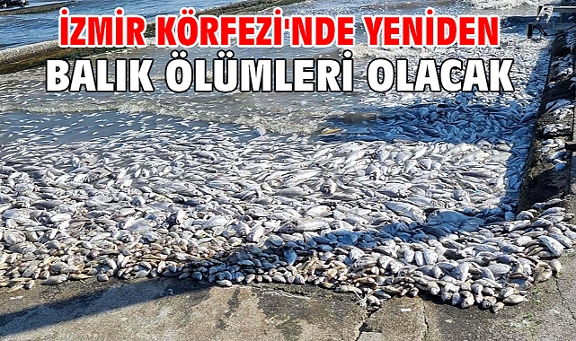 İzmir Körfezi'nde yeniden balık ölümleri olacak - GÜNDEM - Manşet İzmir